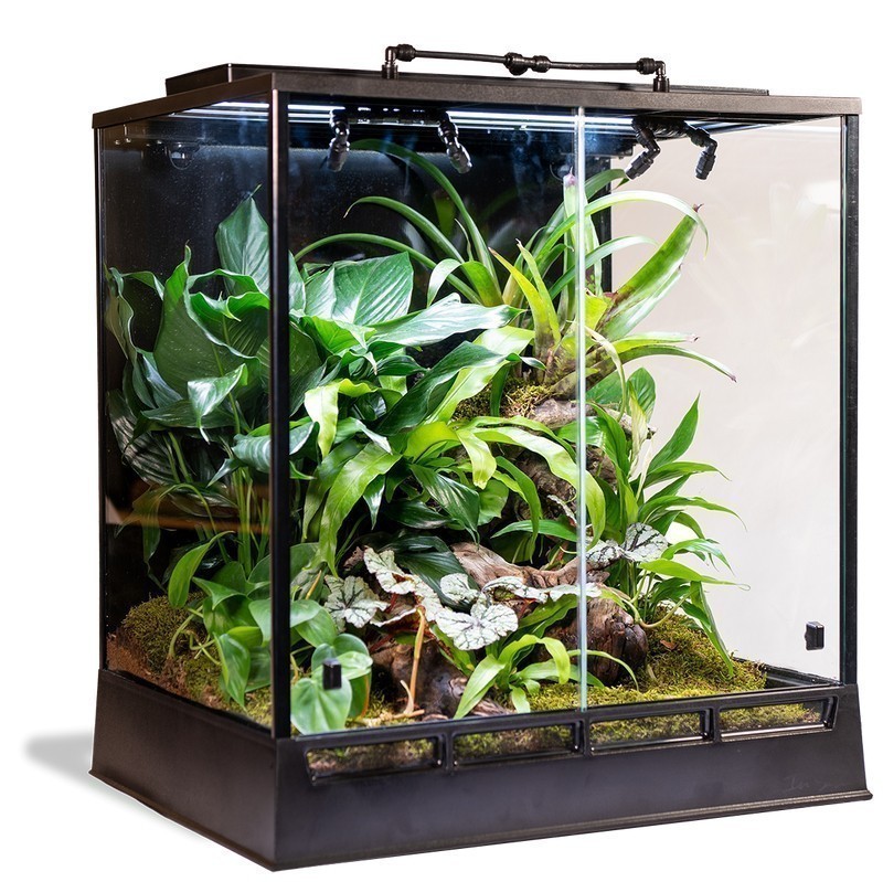 Jungle Hobbies Ltd. > Terrariums